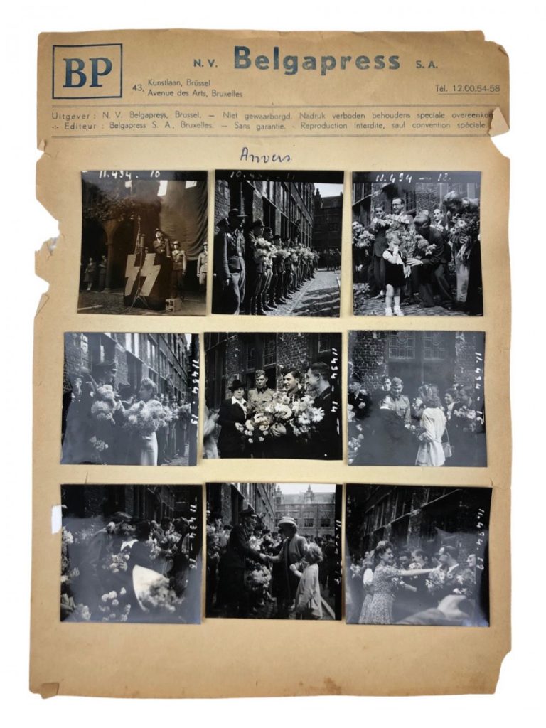 Original WWII Flemish Waffen-SS legion photo grouping - SS Volunteers ...