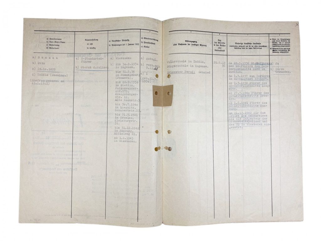 Original WWII German Waffen-SS signed Himmler nomination document ...