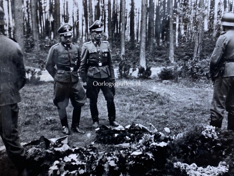 Original WWII German Waffen-SS grouping - 2. Pionier.Kp. SS-Kavallerie ...