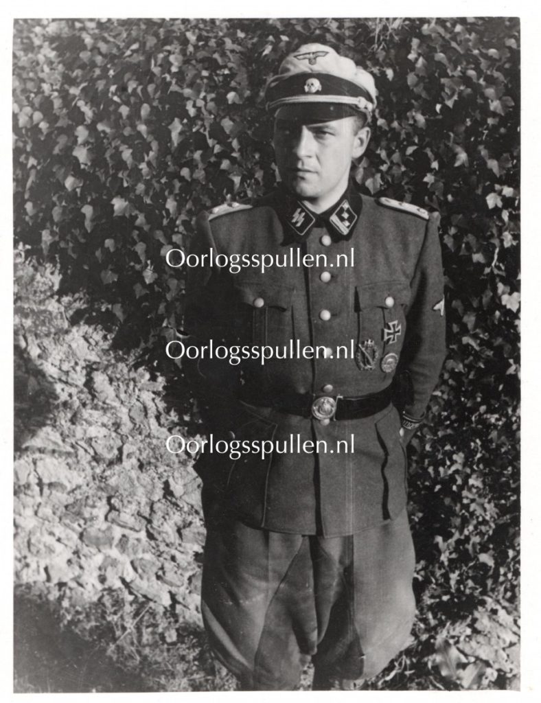 Original WWII German Waffen-SS 'Langemarck' officer photo ...
