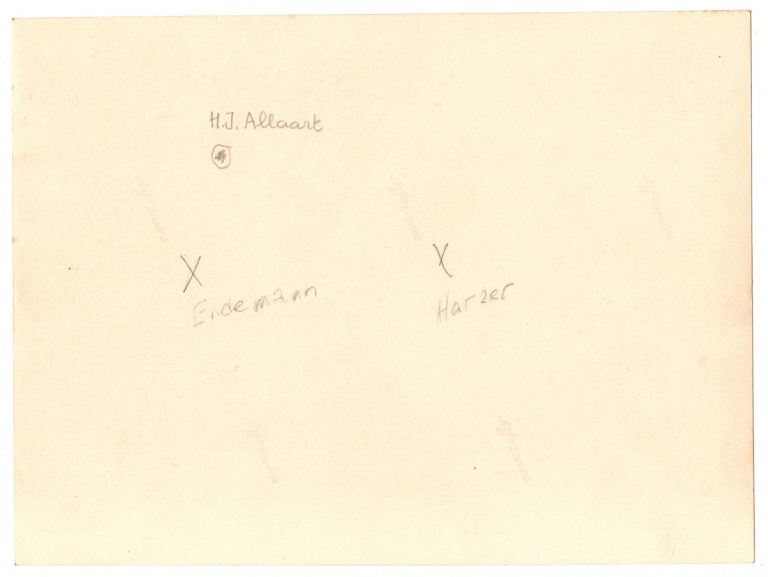 Original WWII German large size Waffen-SS photo - H.J. Allaart & Walter ...