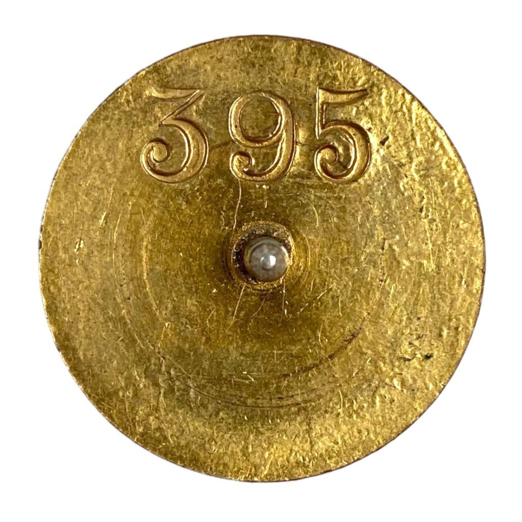 Original WWII Norwegian Nasjonal Samling 'Rikshird' pin ...