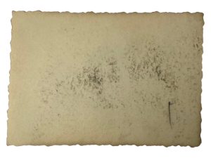 Original WWII Walloon volunteer legion photo - Oorlogsspullen.nl ...