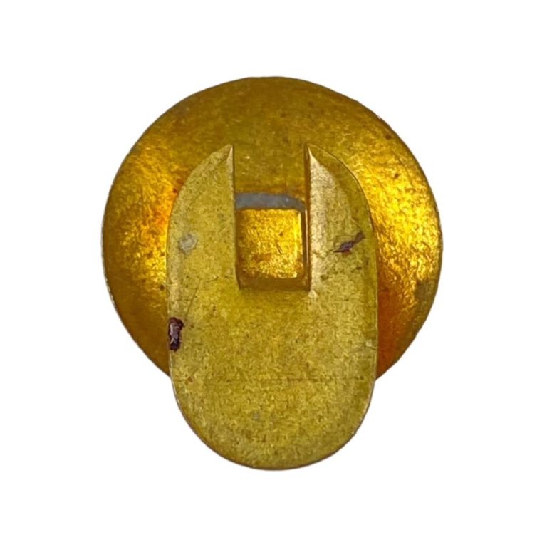 Original WWII DNSAP member buttonhole pin - Oorlogsspullen.nl ...